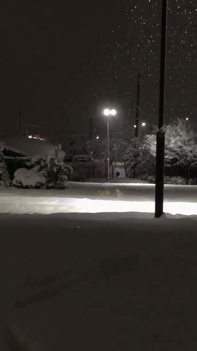 11월 27일 나에게는 올해의 첫눈이였고 너희에게는 평생의 처음이였던 그 날에 너네는 그날 그 세상에서 가장 하얗고 예뻤다 Youtube