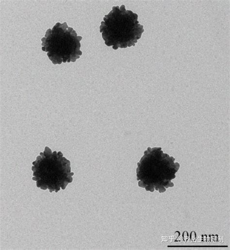 Peg Peg Gold Nanoflower Protein Antibody Gold