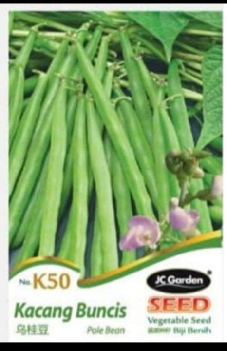 JC Pole bean French bean vegetable seed biji benih kacang buncis 乌桂豆种子 Lazada