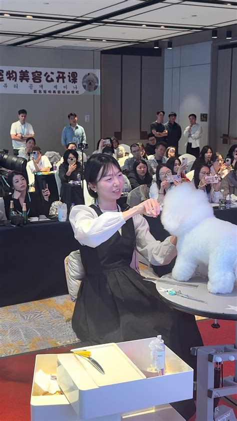 일주일 동안 알차게 보내고 온 중국 출장 🇨🇳 중국에서의 첫 세미나를 마치고 관광 다니면서 제가 중국 전통 의상을 입게 될 줄이야🫢 상해에서 유명한 학교와 애견샵 구경도