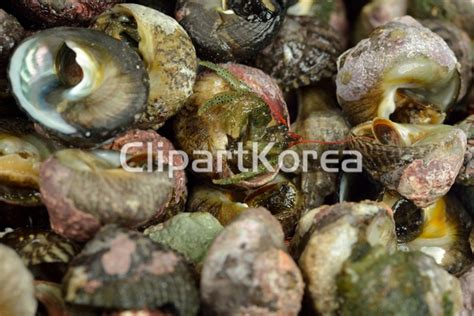 국내작가포토 클립아트코리아 통로이미지 주
