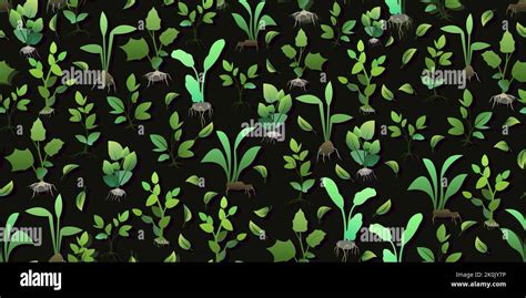 Seedling Garden Plants With Roots Sowing Agricultural Material