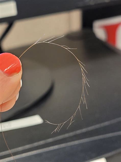 Tree Split Ends