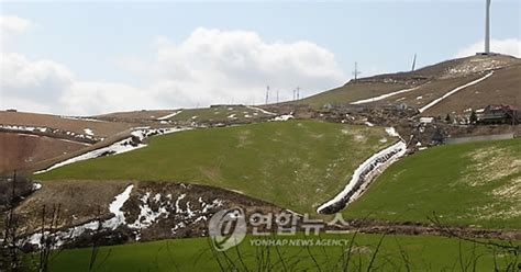 대표 고랭지 강릉 안반데기 명품 관광지 변신