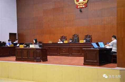 洛龙区法院公开审理蒋某某涉嫌受贿罪一案！澎湃号·政务澎湃新闻 The Paper