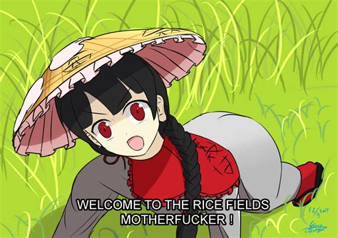 Goddammit I Saw This Coming Touhou Project 東方project Know Your Meme