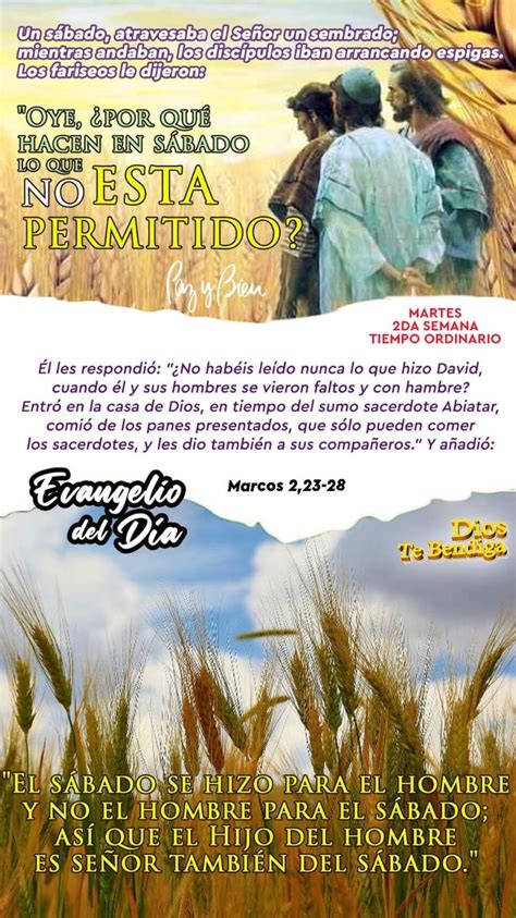 Pazybien TeinvitoaOrar EVANGELIOYLECTURAS EUCARISTÍA MARTES DE ENERO DE MARTES