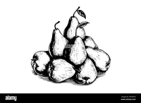 Pile Of Pears Ink Sketch Isolated On White Background Hand Drawn