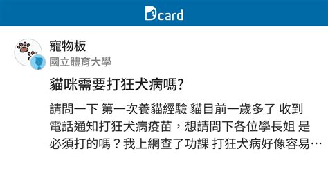貓咪需要打狂犬病嗎 寵物板 Dcard