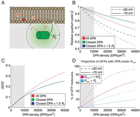 Gfp Fluorescence Quenching At Physiological Dpa Concentrations Is Download Scientific Diagram