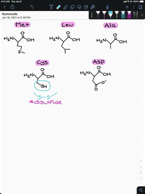 Solved A Polypeptide Has A High P I Value Suggest Which Amino Acids Might Comprise It