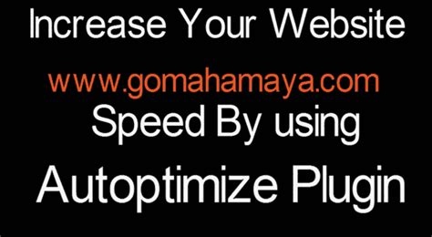 Autoptimize Plugin Setting WordPress Optimization Gtmetrix
