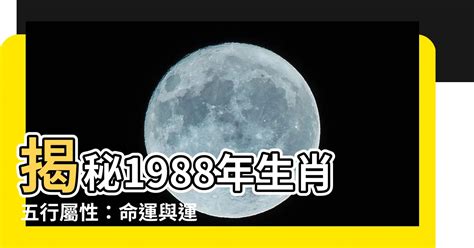 【1988 年五行屬什麼】揭秘1988年生肖五行屬性：命運與運勢全解析 最新新聞
