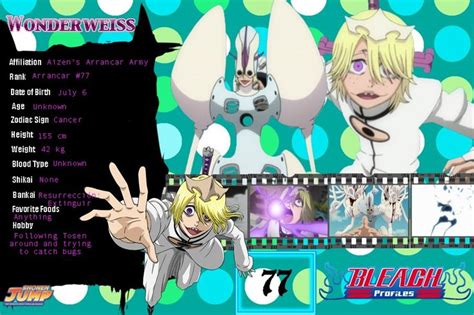 Bleach Characters Profile Arrancar Rank 77 Wonderweiss Margela