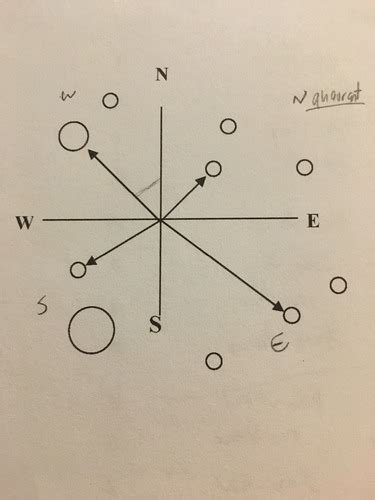 Ecology Lab 2 Plots Sampling Woody Vegetation Point Quarter Method Flashcards Quizlet