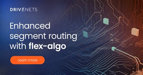 Segment Routing Flex Algo Customizing Network Solutions