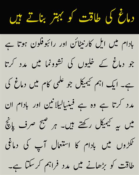 Amazing Health Benefits Of Almonds Ladies Health Life
