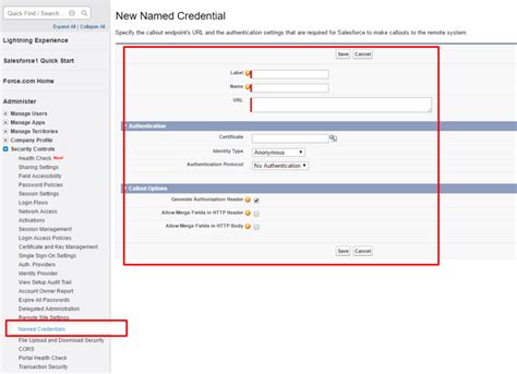 How To Use Named Credentials