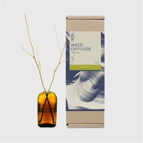 Reed Diffuser 100ml Essential Oil Bsab
