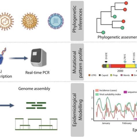 Genomic Surveillance Framework For The Real Time Monitoring Of Emerging