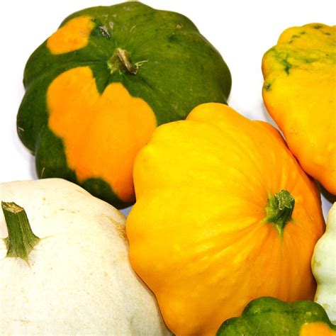 Organic Squash Scallop Blend Seeds Vermont Wildflower Farm