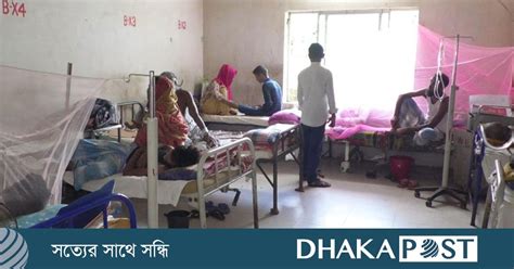 নোয়াখালীতে ১২ দিনে হাসপাতালে ভর্তি ৩৪ জন ডেঙ্গু রোগী