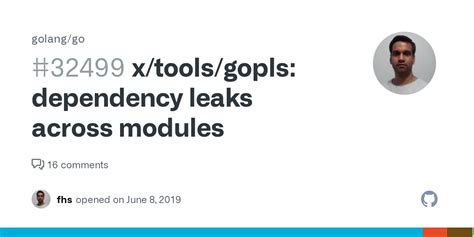 Xtoolsgopls Dependency Leaks Across Modules · Issue 32499 · Golang
