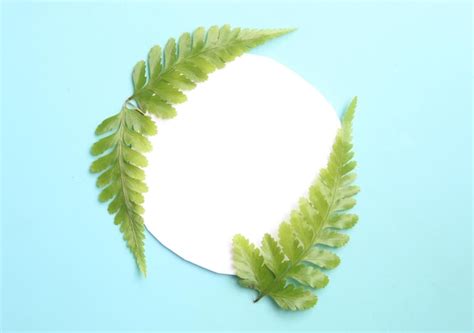 Premium Photo View From Above Flat Lay Photo Of Ordinary Object On Blue Background