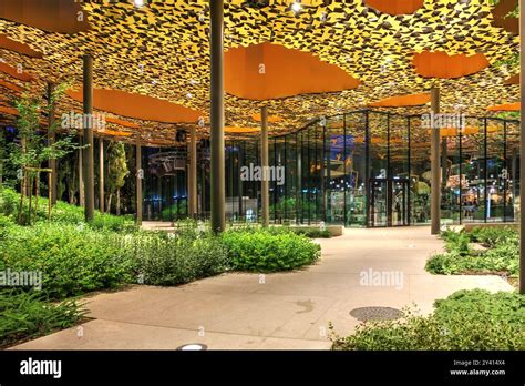Architetto Del Parco Cittadino Sou Fujimoto Immagini E Fotografie Stock