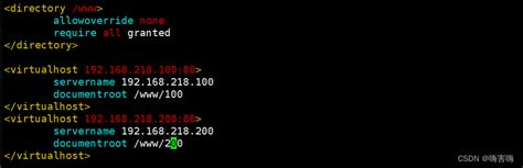 Linux服务器搭建 Web服务器linux搭建web服务器 Csdn博客