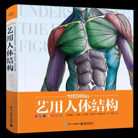 艺用人体结构精装版全彩理解人体形态人体结构骨骼肌肉造型解剖学基础教程动漫素描书入门教材伯里曼人体结构教学书籍虎窝淘