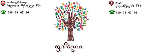 ფაზლი ბავშვთა და მოზარდთა აბილიტაციის ცენტრი Home