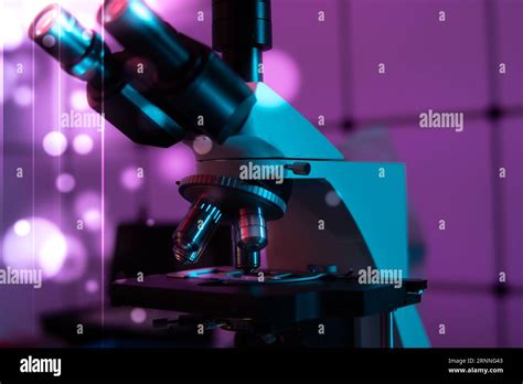 Pathology Pathologists Use Optical Microscopes To Analyze Biopsy