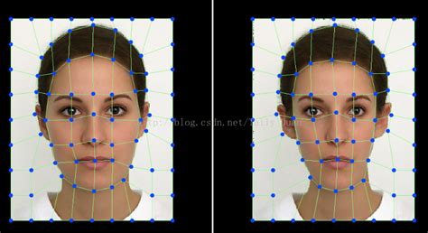【opencv】图像网格转换mesh transform opencv 网格 csdn博客
