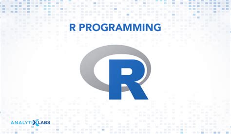 Python Vs R For Data Science Which Should You Choose