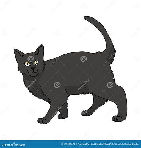 Cute Cartoon Bombay Cat Vector Clipart Pedigree Kitty Breed For Cat