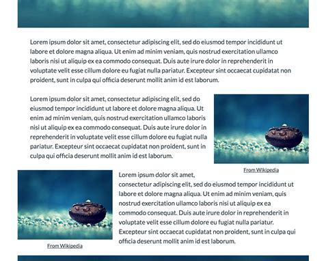GitHub Dim Hugo Theme Aglaus