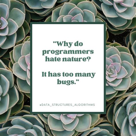 Does Anyone Here Like Bugs Coding