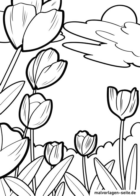 Malvorlage Tulpen Ausmalbild Kostenlos Herunterladen
