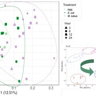 Relationship Between The Samples Left Graph Shows The Relationship Of Download Scientific