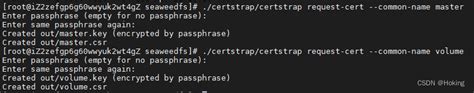 Seaweedfs安全配置（security Configuration）seaweedfs配置 Csdn博客