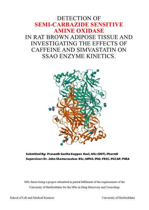 Research Project On Ssao Extraction And Enzyme Kinetics