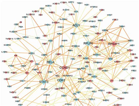Protein Protein Interaction Ppi Network Complex And Predictive