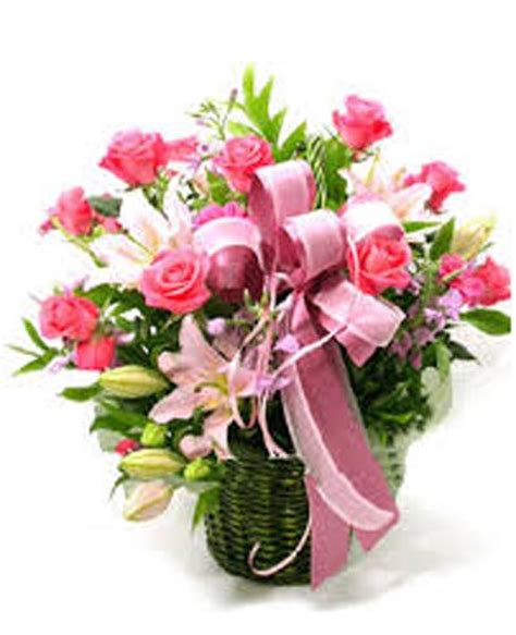 Yummy Mummy Scents Of Occasion