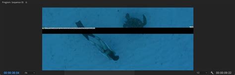 Help After Rendering Footage Now Looks Corrupt Why Rpremiere