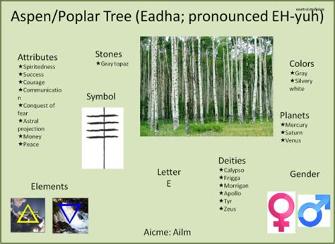 One Twisted Pixie Photo