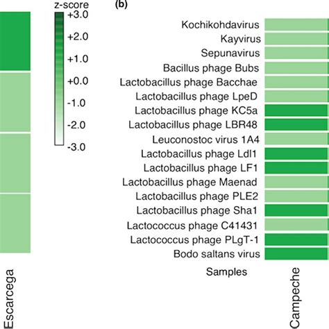 Heatmap Of The Taxonomic Classification Of Recovered Bacteriophage Download Scientific Diagram