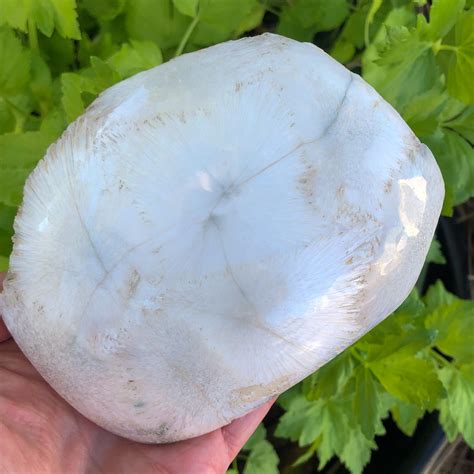 Scolecite Natural Specimen No 2 Sacred Earth Crystals