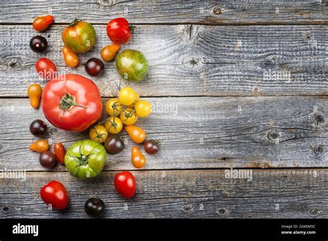Traditional Italian fresh tomato collection offered as top view on a ...