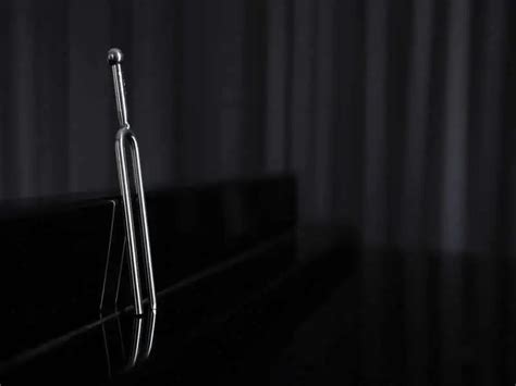 Weighted Vs Unweighted Tuning Forks What You Should Know